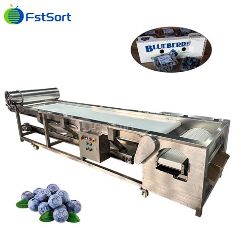 Fruit Grading Equipment Blueberry Sizing Machine Blackberry Sorting Machine Precision Fruit