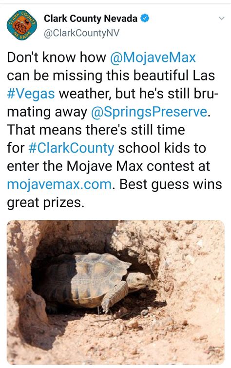 This Is A Local Thing But I Remember Doing The Mojave Max Challenge In