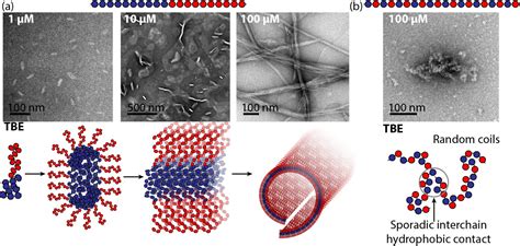 New Preprint Sequence Isomerism In Uniform Polyphosphoesters