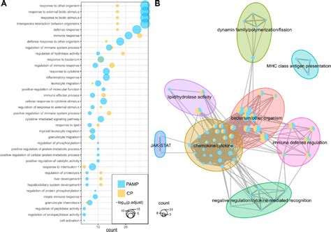 Top Most Over Represented Biological Processes From The Gene Ontology Download Scientific