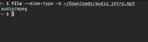 Audio Widget Not Working On Ios Chromesafari And Safari · Issue 6104