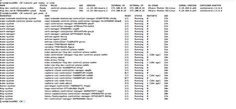 Tanzu Kubernetes Grid Tkg Clusters Deploying Using Vrealize Automation Vra Kdinesh