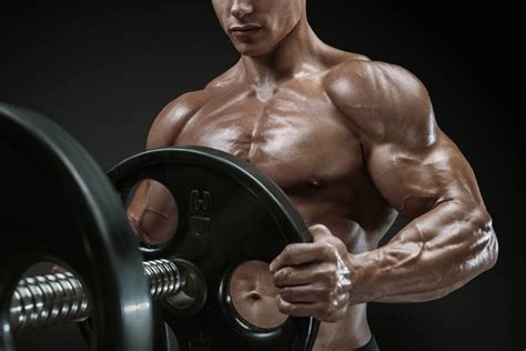 Ligandrol (LGD-4033) | Alle Fakten zu LGD-4033 | Fatburners.at