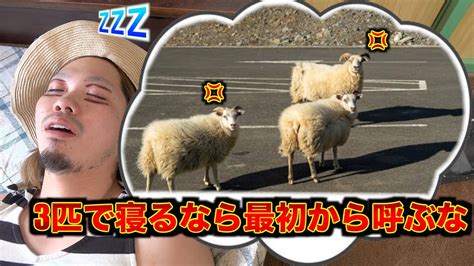 羊が 匹寝ながら羊数えてたらブチギレられた YouTube