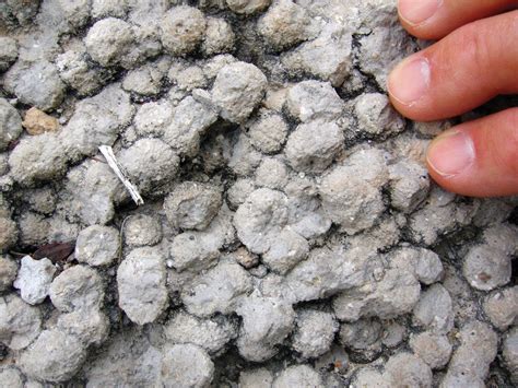 Spherulite Crystallization Microstructure Porosity Britannica