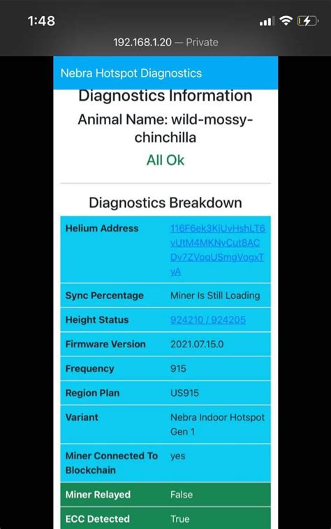 Height Status Higher Than Blockchain Height Miner Still Loading · Issue 80 · Nebraltdhm Diag