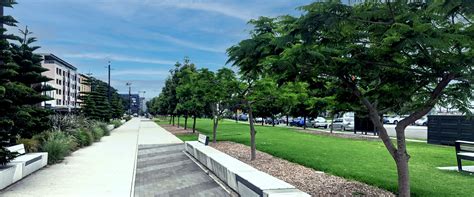 Hulk Underground Tree Kits