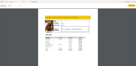 Page View For Paginated Reports Now Available In Power BI Blog De Microsoft Power BI