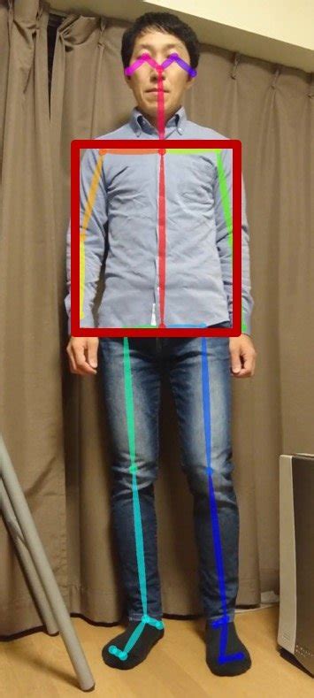Example Result Of Human Pose Estimation The Red Rectangle Indicates Download Scientific