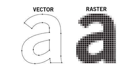 Vector Vs Raster Files What And How To Use