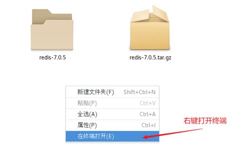 Redis Redis安装与启动 Linux CentOS 阿里云开发者社区