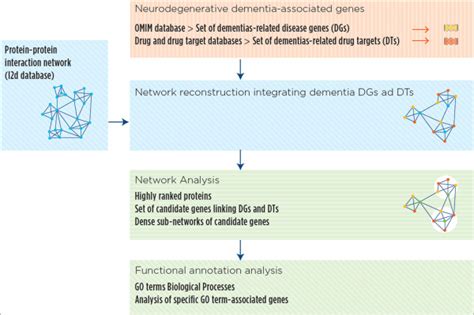 Schematic Representation Of The Network Analysis Workflow Seed Genes