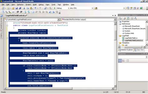 Criando Um Tipo De Custom Field No Wss 30