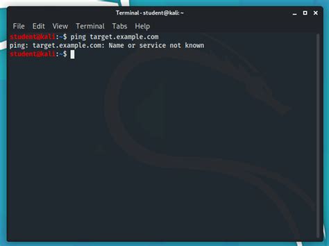 broken dns in snapshot of kali linux knowledge base