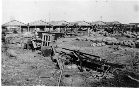 Img067 Shane Egan Flickr