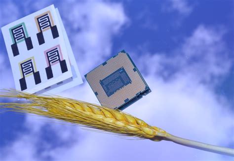 Low Cost Intelligent Soil Sensors Could Help Farmers Curb Fertiliser Use Imperial News