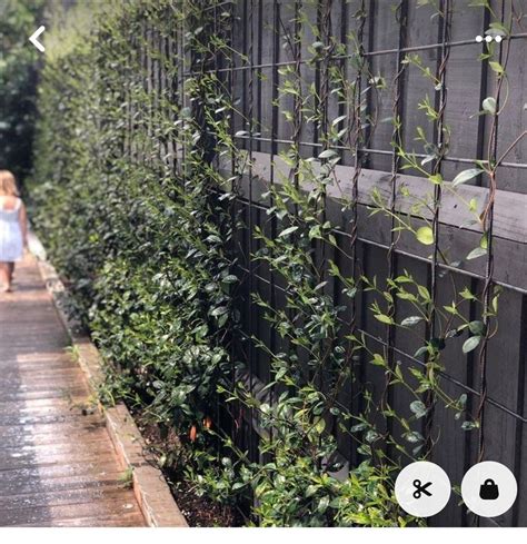 Pin By Dyslexia Teacher On Design Garden Cottage Garden Design