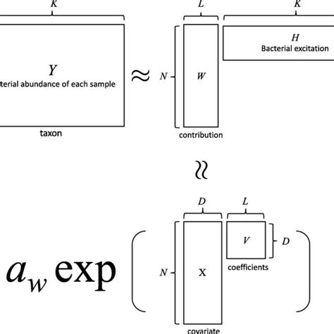 Conceptual Diagram Of Matrix Factorization In Balsamico Download Scientific Diagram
