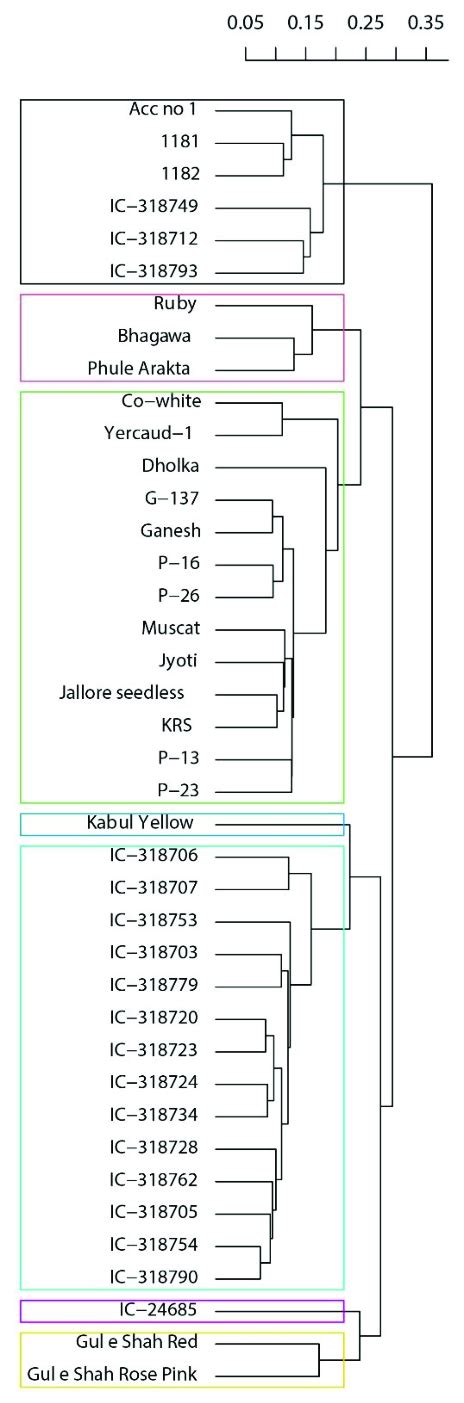 Hierarchical Classification Of The Forty Pomegranate Accessions Using
