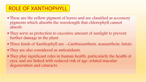 Xanthophyll Ppt Pptx