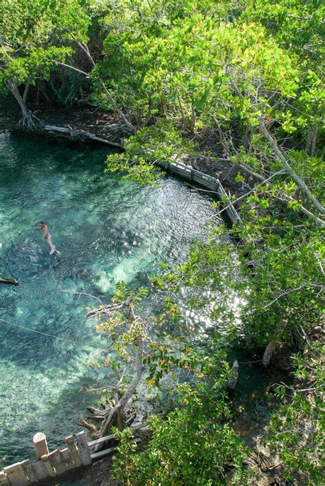 Bemannen Sie Das Schnorcheln In Der Lagune Von Ojo In Holbox Insel Mexiko Redaktionelles Foto