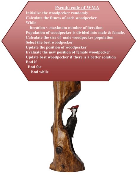 A New Nature Inspired Search Algorithm Woodpecker Mating Algorithm