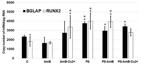 The Mrna Levels Of Osteoblastic Markers Bglap And Runx2 In The Adsc Download Scientific Diagram