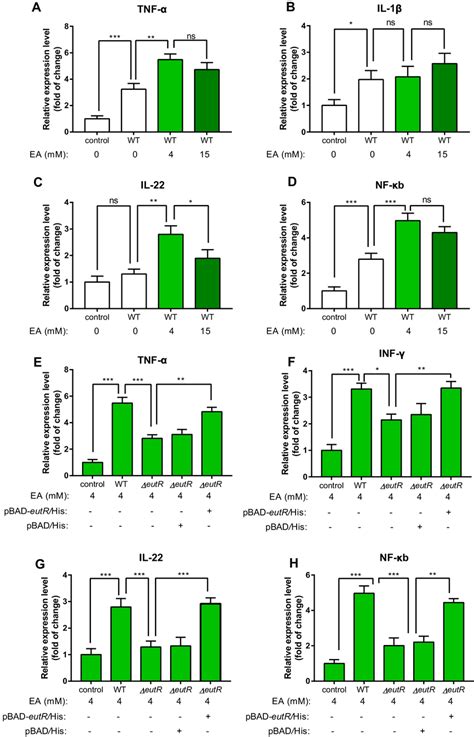 Mrna Relative Expression Analysis Of Inflammatory Factors In Download Scientific Diagram