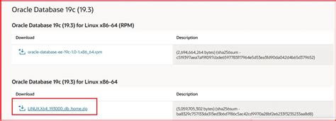 Downloading And Installing Oracle Database Dot Net Tutorials