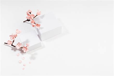 결혼식 부드러운 장면 모형 두 개의 흰색 사각형 연단 분홍색 벚꽃 나뭇가지 흰색 배경에 햇빛에 꽃잎 상위 뷰 프레젠테이션 화장품