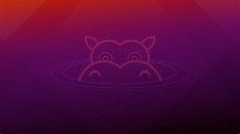 Install Gnu Compiler Collection Gcc On Ubuntu 2004 Lts Technology
