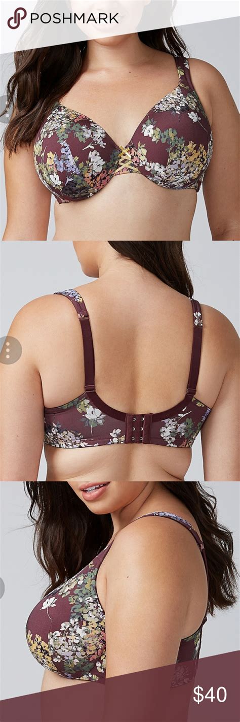 Cup Bras Lane Bryant At Stephanie Wolfe Blog