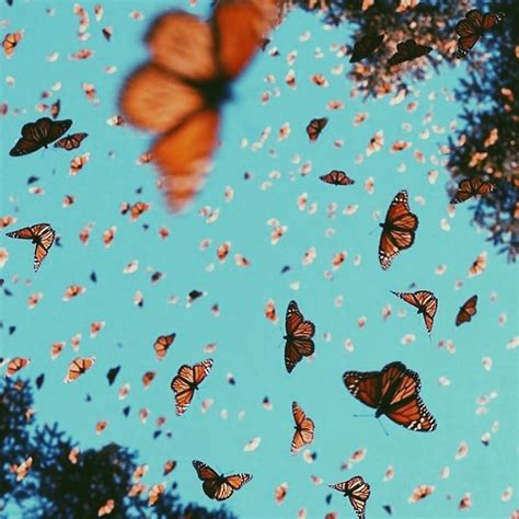 Iris Dailey Hypnosis Downloads