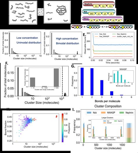 Characterization Of Molecular Clusters A Two States Of Molecular