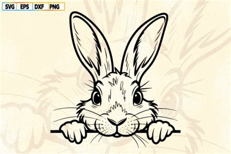 Peeking Rabbit Svg, Bunny Rabbit Svg Graphic by uzzalroyy9706 · Creative Fabrica