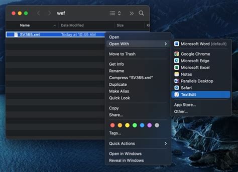 NetSuite Smart View Mac Install Learn More