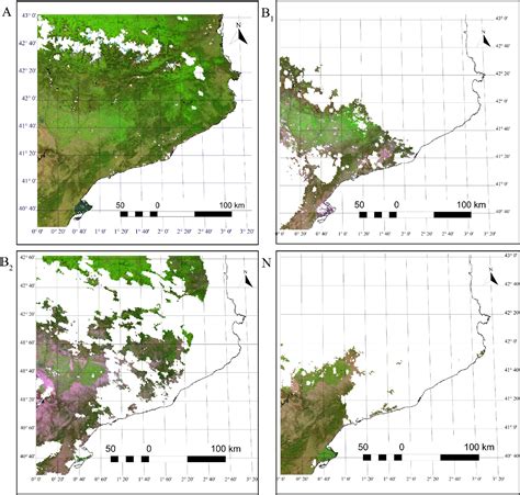 Spatial And Spectral Pattern Identification For The Automatic Selection
