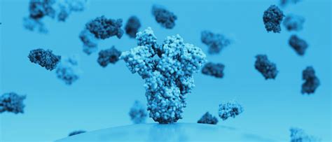 Protein Expression Analysis Services For Biopharma Drug Development