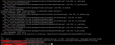 No Such File Or Directory Imagefolder But There Is Pytorch Forums