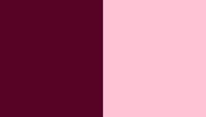 Cores que combinam com marsala na decoração ideias