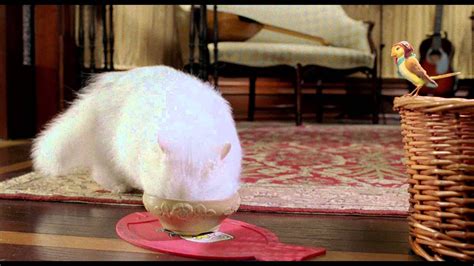 Stuart Little 2 Trailer Youtube
