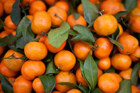 The 15 Types Of Tangerines With Pictures