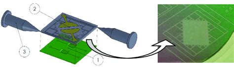 Fluidic Interface For Nomad Application 1 Gaas Sensors 2 Specific Download Scientific