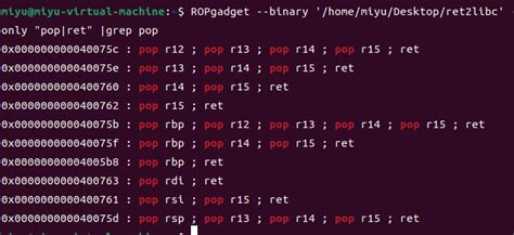 Newstar Ctf 2023 Pwn Smera1d0s Blog