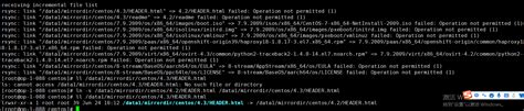 日志中出现 Rsync Link Xxx Failed Operation Not Permitted · Issue 156
