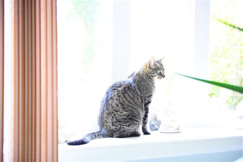 RAW Vs JPEG Side By Side Comparison Fro Knows Photo