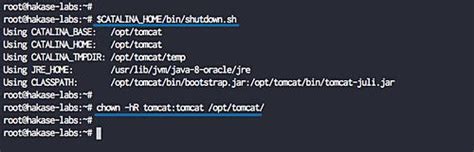 So Installieren Und Konfigurieren Sie Apache Tomcat 9 Unter Ubuntu 1804 Lts Howtoforge