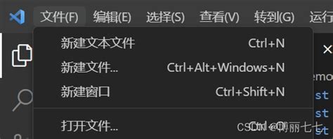 Vs Code主题设置（美化vs Code）（主题背景图标特效字体）vscode主题 Csdn博客