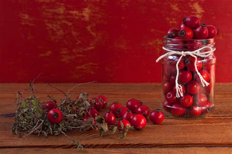 면역 증폭 치료 주입 나무 배경에 항아리에 천연 백리향 민트 허브와 로즈힙 베리 감기와 독감에 대한 스톡 사진 및 기타 이미지 감기와 독감 건강관리와 의술 겨울