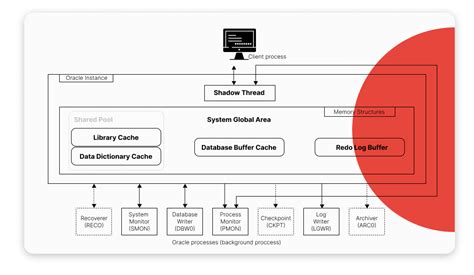 Tables Vs Schema At Beverly Calvo Blog